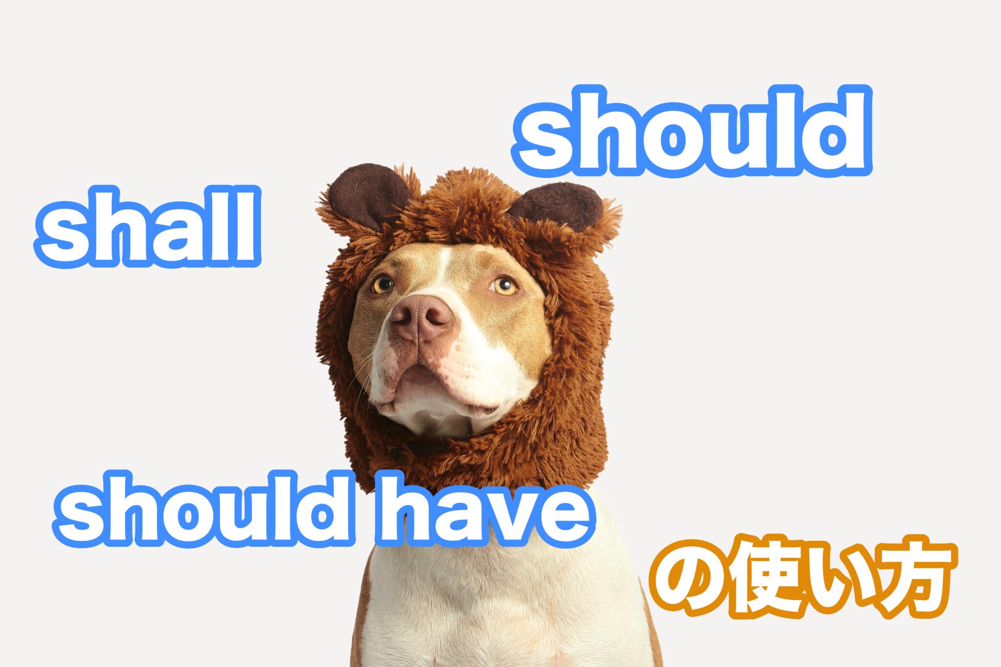 【can】と【be able to】の違いはこれで完璧！！分かりやすく比較 | Ryota × English